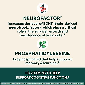 NEURIVA Plus Brain Supplement for Memory and Focus Clinically Tested Nootropics for Concentration for Mental Clarity, Cognitive Enhancement Vitamins B6, B12, Phosphatidylserine 30 Capsules