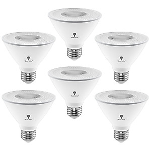 6 Pack PAR30 Short Neck LED Flood Light Bulb 10W 75 Watt Equivalent 850 Lumens Waterproof E26 5000K Daylight Super Bright PAR30 LED Bulb for Security, Led Spotlight Bulb Led Recessed Light Bulbs