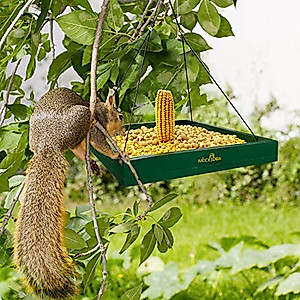 MIXXIDEA Bird Feeder Hanging Tray, Seed Tray Wooden Platform Hummingbird Feeder Hanging Tray Mesh Seed Platform for Garden Yard Outside Decoration Attracting for Wild Birds (Green-1pk)