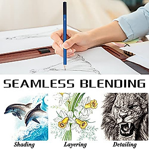 EGOSONG Professional Drawing Supplies Art Set – 73 Piece Sketching Kit with Sketch Book Tutorial Graphite Charcoal & Watercolor Metallic Color Pencils – Artist Kit for Beginners, Adults, Teens