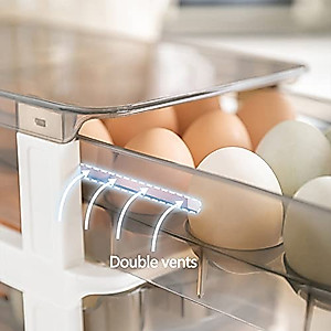 30 Grid Large Capacity Drawer Type Egg Holder, Household Egg Fresh Storage Box, Multi-Layer Chicken Egg Storage Container,Egg Drawer Box,White-Singlelayer