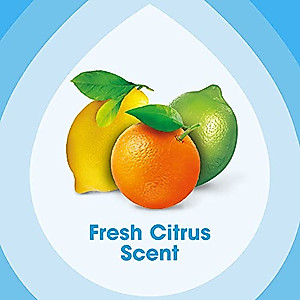 Pledge Multisurface Cleaner, Everyday Clean, Trigger, Fresh Citrus Scent, 25 oz