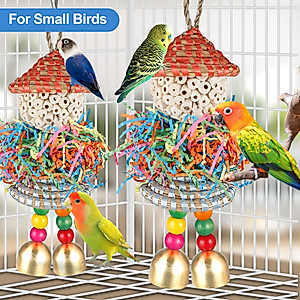 BBjinronjy Conure Toys,2PCS Bird Toys Parrot Foraging Shredder Hanging Toys Sola Balls with Bell for Small Parrots Parakeets Cockatiel Conures Love Birds Budgie Cage Toy
