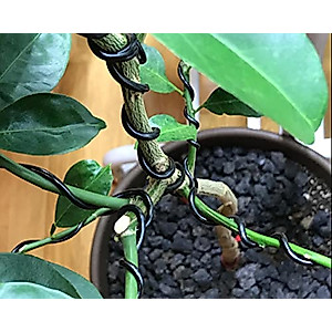 3 Pieces 10m Bonsai Wire Craft Aluminium Wire Bonsai Training Tools - Black (1.0 mm / 1.5 mm / 2.0 mm, 10m for Each Size)