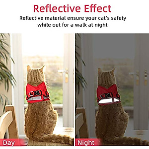 Cat Vest Harness and Small Dog Vest Harness for Walking, All Weather Mesh Harness, Cat Vest Harness with Reflective Strap, Step in Adjustable Harness for Small Cats (Red, XS)