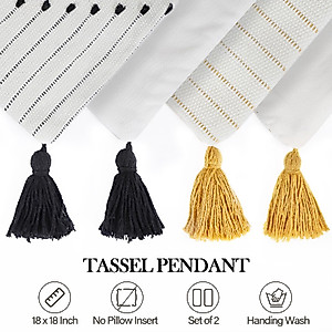 Joyesup Boho Throw Pillow Covers 18x18 Set of 2 Farmhouse Pillow Covers with Tassel Decorative Throw Pillow Cases Room Decor Woven Pillow Covers for Couch Bed Living Room Dormitory(White and Black)