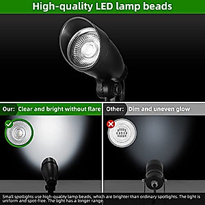 CONERIFE Low Voltage Led Landscape Lights, Outdoor Landscape Lighting with Warm White IP65 Waterproof, Low Voltage Landscape Lights for Garden Yard Driveway Walls Trees Flags.