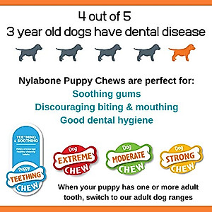 Nylabone Puppy Chew Gentle Chewing Puppy Antler Alternative Chicken Flavored Dog Chew Toy, Petite