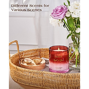 M&SENSE Apple Spice Soy Candles for Home Scented 10.6oz 60 Hour Long Lasting Slow Burning, Organic Natural Christmas Candle Highly Scented Winter Holiday Fragrance Gift for Women Men