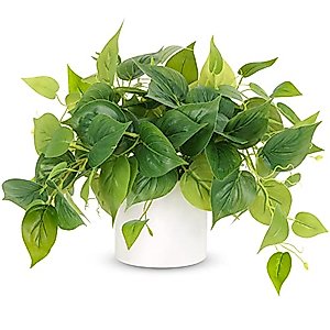JPSOR Faux Plants Indoor, Pothos Small Fake Plants for Home Decor Indoor Fake Potted Plant Artificial Plants for Living Room Shelf Home Office Decor（White Ceramic Pot）