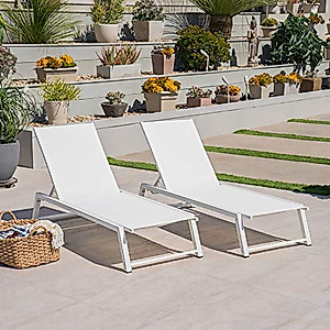 2-Piece White Contemporary Aluminum Outdoor Furniture Patio Lounger Set