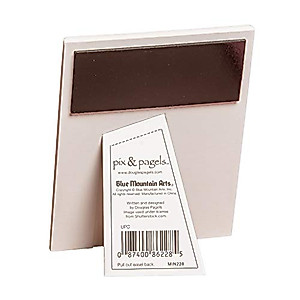 Blue Mountain Arts “For Her” Magnet with Easel Back—Birthday, Holiday, Thank-You, or Thinking of You Gift by Douglas Pagels, 4.9 x 3.6 Inches (This Is for an Incredibly Special Woman)