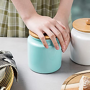 SWEEJAR Kitchen Canisters, 28 FLOZ Ceramic Food Storage Jar with Bamboo Lid and Seal Ring for Serving Ground Coffee, Tea, Sugar, Salt (Turquoise)