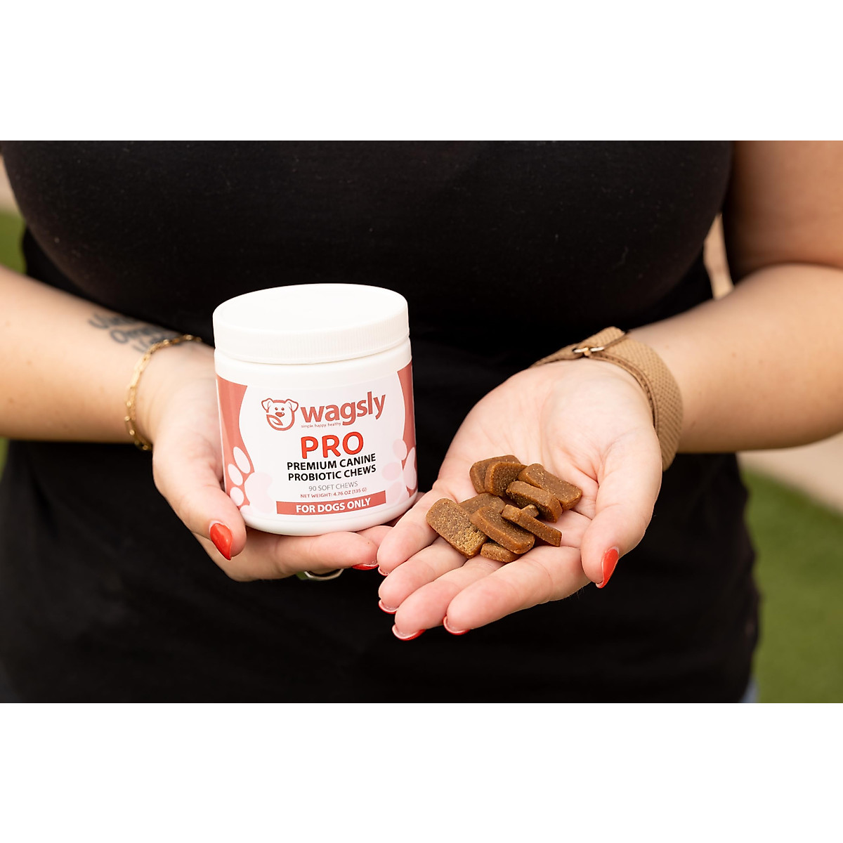 Wagsly PRO – Daily Probiotic for Dogs Digestive Health - Bacillus Coagulans, Digestive Enzymes, Immune Support, Diarrhea & Bowel Relief, Natural Duck Flavor - 90 Count - Dog Gut Health Supplement