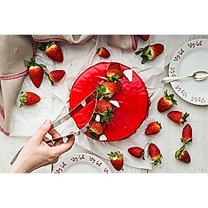 Magisso Cake Server in Stainless Steel #