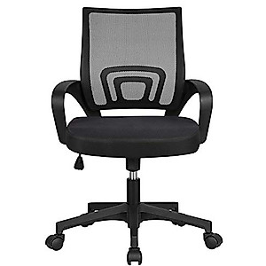 Payhere Executive Task Ergonomic Desk Home Computer Gaming Office Chair Mesh Working Chair with Mid-Back Lumbar Support Armrest Modern Adjustable Swivel Rolling Desk Chair for Women Men, Black