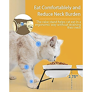 3 Cat Food Bowls Ceramic 13 oz Upgraded with Stainless Steel Stand Non-Slip and Anti-Rust Elevated Raised Cat Bowls for Food and Water, Pet Dishes Bowl for Indoor Cats and Puppy, Dishwasher Safe