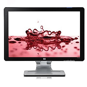 HP W2408 Vivid Color 24-inch Widescreen Flat LCD Monitor with BrightView Panel