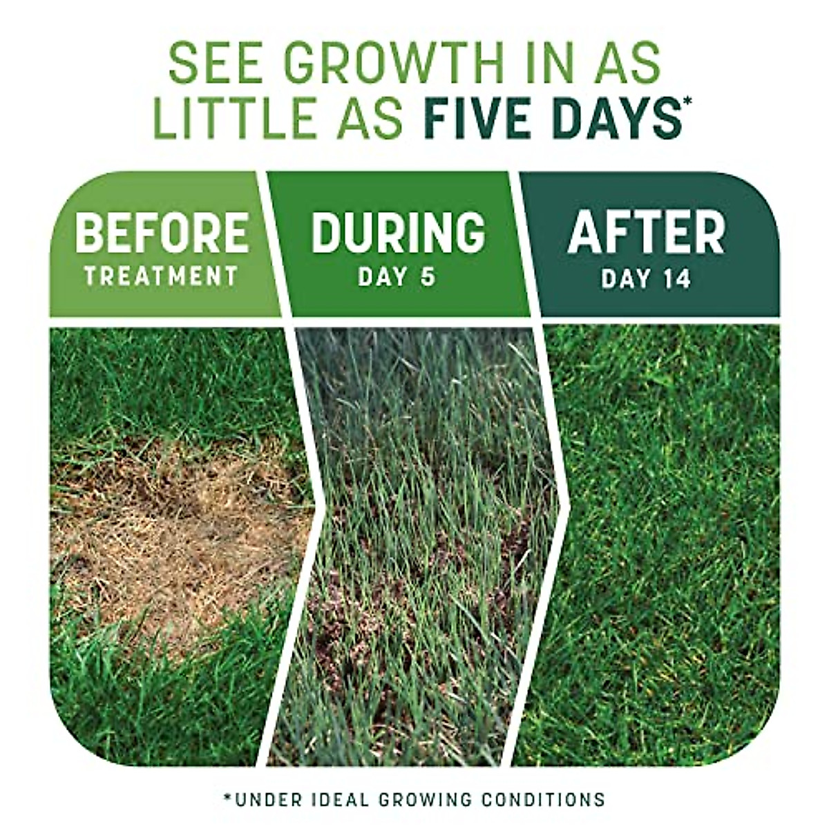 Pennington Smart Patch Tall Fescue Mix 10 lb