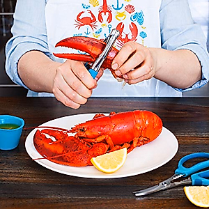 Trudeau Seafood Cracker, One Size, Tropical