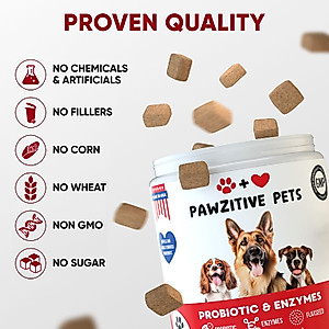 Canine Probiotics for Digestive Health - Immune Support Supplement for Dogs of All Breeds - Enzymes & Probiotics for Pets - Soft Chews