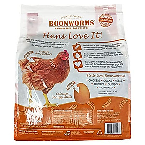 Pecking Order Boonworms 100% Black Soldier Fly Larvae