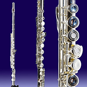 Cecilio Closed Hole C Flute - Musical Instrument, Kids Beginner/Intermediate Flute in Band & Orchestra, Nickel ﻿