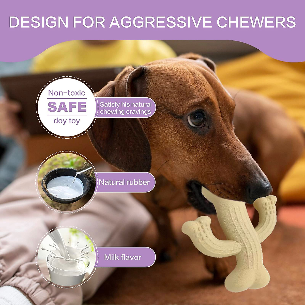 Medlladle Dog Chew Toys Cactus for Aggressive Chewers Small Breed, Indestructible Tough Dog Toys for Puppies Pet Toy with Durable Natural Rubber