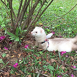 Ferret Harness and Leash Adjustable, Blue Sakura Cotton Cloth Ferret Walking Vest, Soft and Breathable Ferret Lead Leash with Angel Wings and Safe Bell