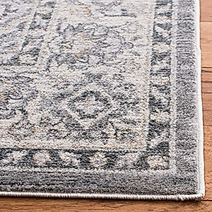 SAFAVIEH Isabella Collection 8' x 10' Grey / Light Grey ISA921F Oriental Non-Shedding Living Room Bedroom Dining Home Office Area Rug