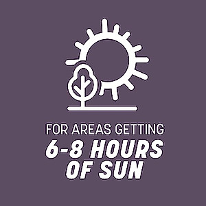 Pennington Annual Ryegrass Retail Bag to Overseed Warm Season Grasses, 25 lb