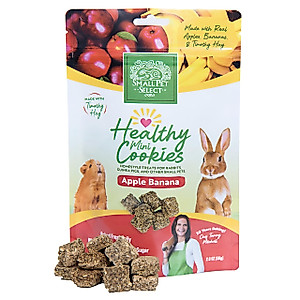Small Pet Select Healthy Snackers Mini Cookies- Apple Banana, 2 oz