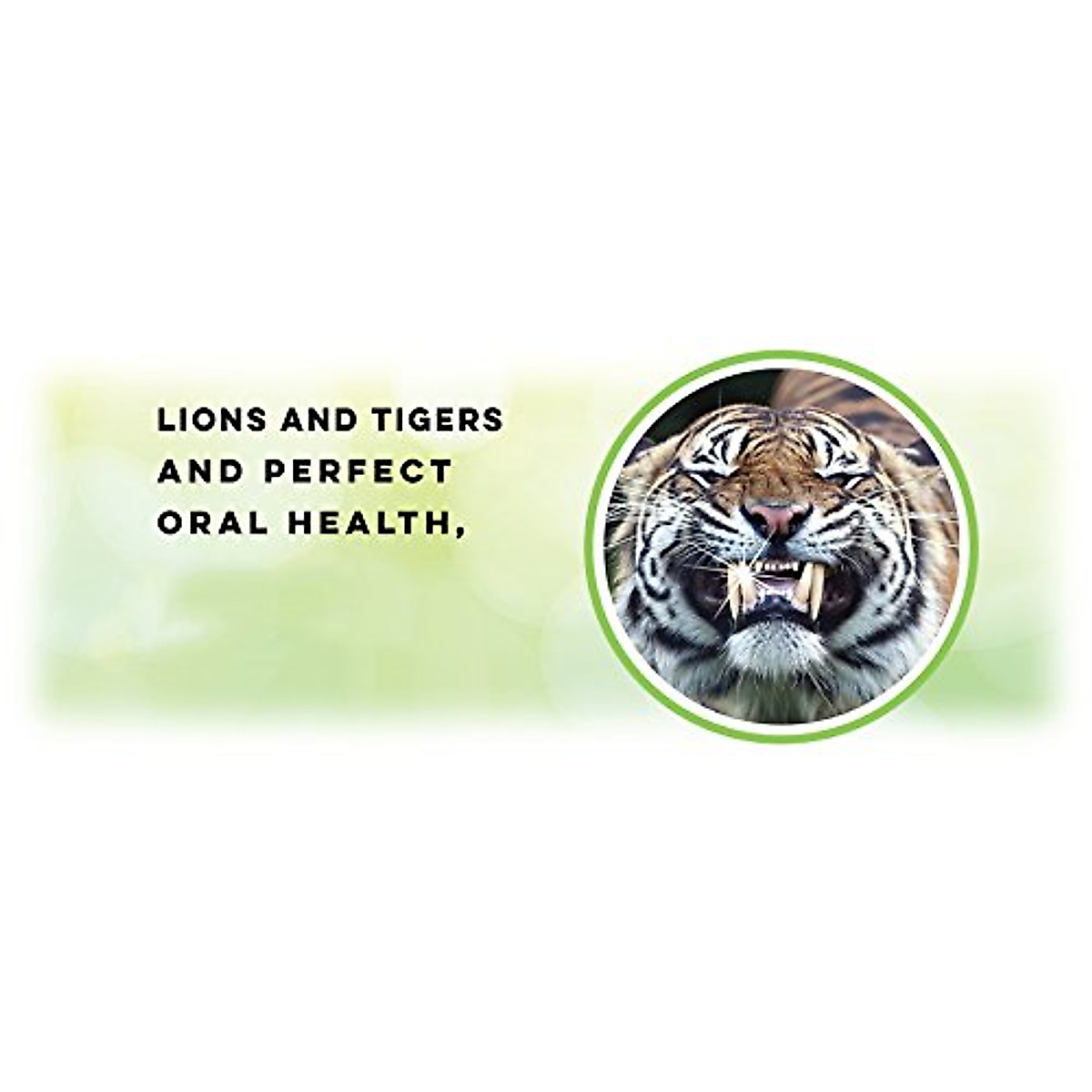 PetzLife Peppermint Oral Care Gel, 1 oz