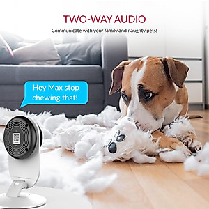 YI 4pc Security Home Camera, 1080p 2.4G WiFi Smart Indoor Nanny IP Cam with Night Vision, 2-Way Audio, AI Human Detection, Phone App, Pet Cat Dog Cam - Works with Alexa and Google