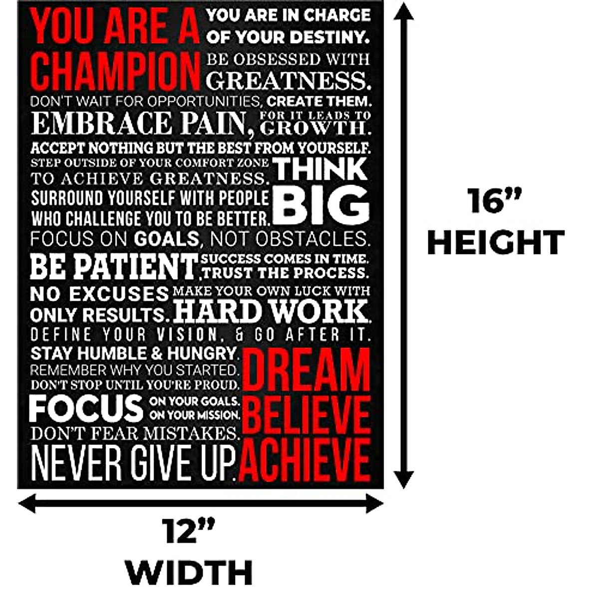 HoneyKICK A Champion's Mantra Motivational Poster - 12 x 16 Inch Cardstock Print - Inspirational Wall Art Décor For Bedroom, Office, Gym