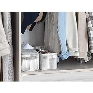 StorageWorks 2-Pack Narrow Storage Bins with 2-Pack Storage Bins