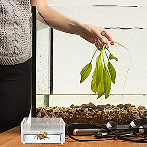 balacoo 2pcs Acrylic Reptile Terrarium Reptile Aquarium Breeding Tank Transparent Reptile Feeding Box Bathing Pool for Frogs Hermit Crabs Lizards Tank