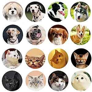1000PCS Dog Stickers Adorable Puppy Stickers Cat Stickers Realistic Cute Kitten Roll Stickers for Party Favor Holiday Envelope Seal Stickers Classroom Reward Stickers 2Rolls