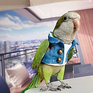 Bird Costume Bird Diaper Flight Suit Bird Jeans Fake Two Pieces Bird Clothes Cosplay Photo Prop for Parrots Lovebird Parakeet Cockatiel Small Animals Apparel (Without Diaper,Cockatiel)
