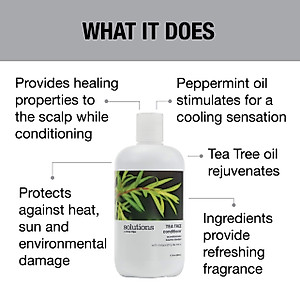GREAT CLIPS Solutions Tea Tree Conditioner 12 fl oz | Tea Tree and Peppermint Oils | Detangle and Condition | For All Hair Types