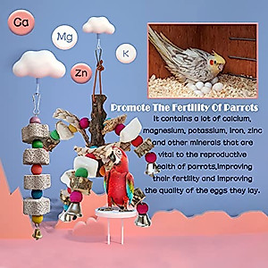 kathson Parrot Chewing Toy Bird Cuttlebone Toys Parakeet Beak Grinding Stone Hanging Bird Toys with Bell Natural Mineral Lava Blocks Chew Toys for Budgie Cockatiel Conure African Grey（2 Pack）