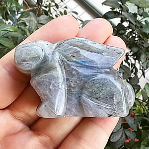 Neyisaa Hand Carved Stone Sitting Rabbit Statue, Healing Crystal Bunny Animal Figurines Sculpture Pocket Stones Home Decoration Easter Day Gift 2 Inches, Grey Moonstone