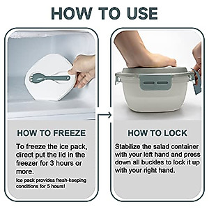 Bokzen Freezer Bento Box, Salad Lunch Containers with Built-In Ice Pack & Fork for Food Freshness, 1.2L 4-Compartment Leakproof Chill Bento Lunch Box for Adults