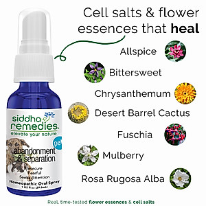 Siddha Remedies Abandonment & Separation for Pets | Natural Homeopathic Remedy for Dogs, Cats, and Animals | Naturally Helps Animals with Fears and Obsessive Behaviors | Supports Healthy Independence