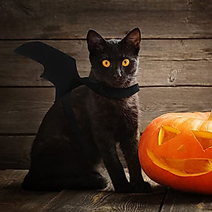 4 Pcs Halloween Pet Costume Spider Dragon Bat Butterfly Dog Costume Adjustable Adhesive Cosplay Bat Wings for Small Dogs and Cats Funny Cat Dog Costume Halloween Party Supply