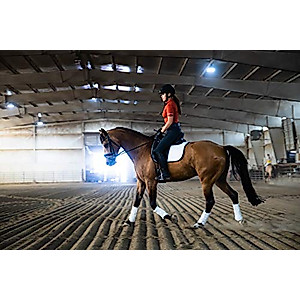 MagnaGard Pre-Performance Paste for Horses - All Natural Calmer, Acid Buffer, Gastric Support w/ Electrolytes - 60ml Syringe