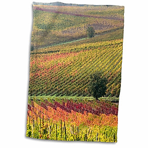 3D Rose Italy-Tuscany. Colorful Vineyards and Olive Trees in Autumn Hand Towel, 15" x 22"