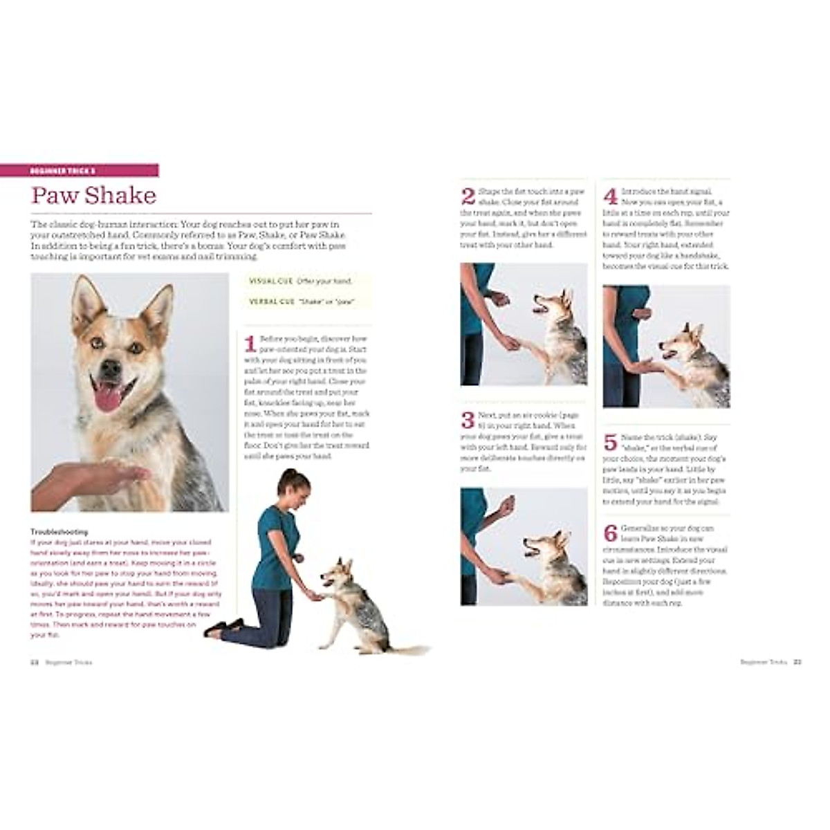 The Big Book of Tricks for the Best Dog Ever: A Step-by-Step Guide to 118 Amazing Tricks and Stunts