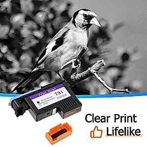 P2V27A (731) Printhead Compatible with HP DesignJet T 1700, HP DesignJet T 1700 Series, HP DesignJet T 1700 dr PS, HP DesignJet T 1700 PS, HP DesignJet T 1700 d, HP DesignJet T 1700 dr