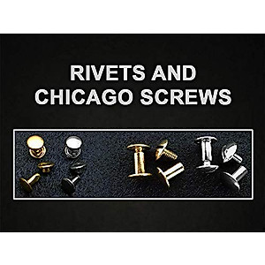 HALTER PLATE XLARGE THICK Notched Brass or Nickel Silver I.D. Plate .050" Thick Custom Engraved